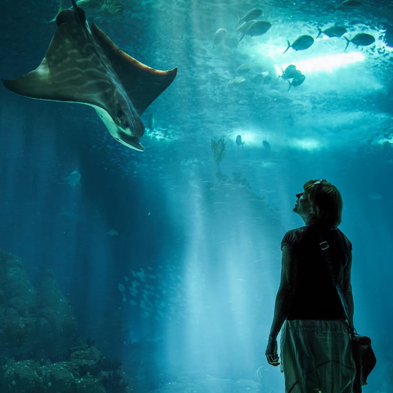 Give your audience a sense of WONDER! Use these tips to keep them ...