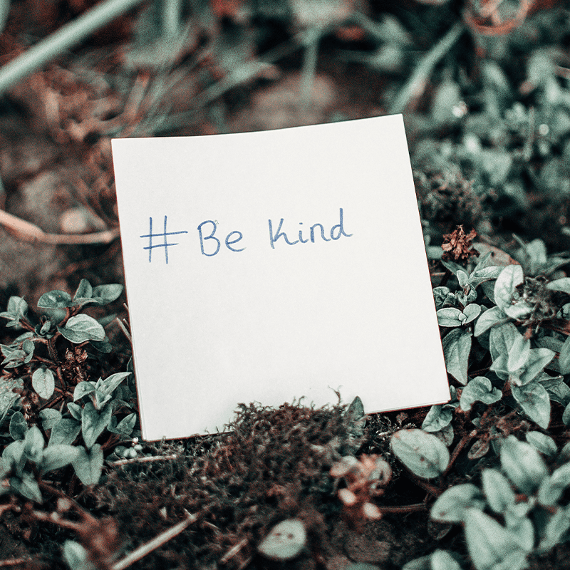 A shopping mall chain vs. a drug store chain? Check out why it's ...